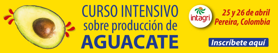 La Poda en el Cultivo de Aguacate | Intagri S.C.