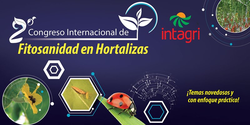 Las Fitoalexinas como Mecanismo de Defensa en las Plantas | Intagri S.C.