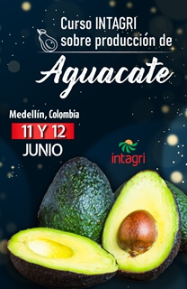 Curso INTAGRI sobre Producción de Aguacate en Medellín - Inicio | Intagri S.C.