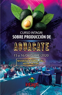Curso INTAGRI sobre Producción de Aguacate - Inicio | Intagri S.C.