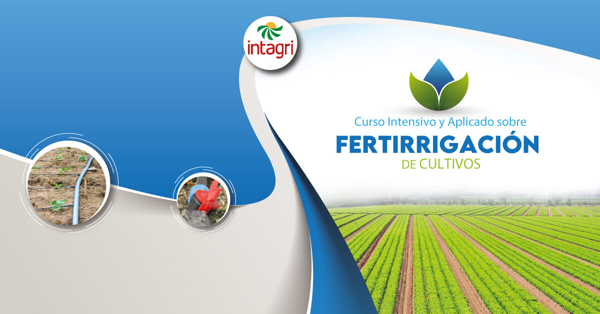 Curso Intagri Intensivo y Aplicado sobre Fertirrigación de Cultivos - Información | Intagri S.C.