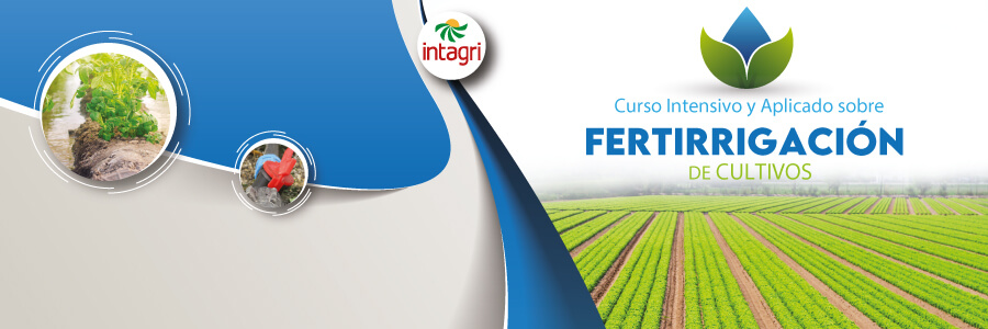 Curso Intagri Intensivo y Aplicado sobre Fertirrigación de Cultivos Online - Información ...