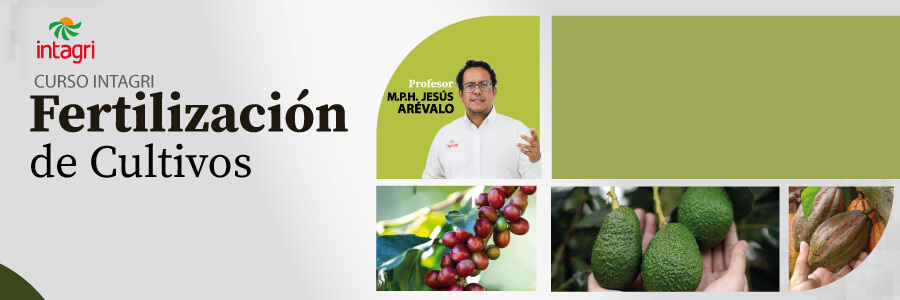 Curso Intagri Fertilización de cultivos - Información | Intagri S.C.