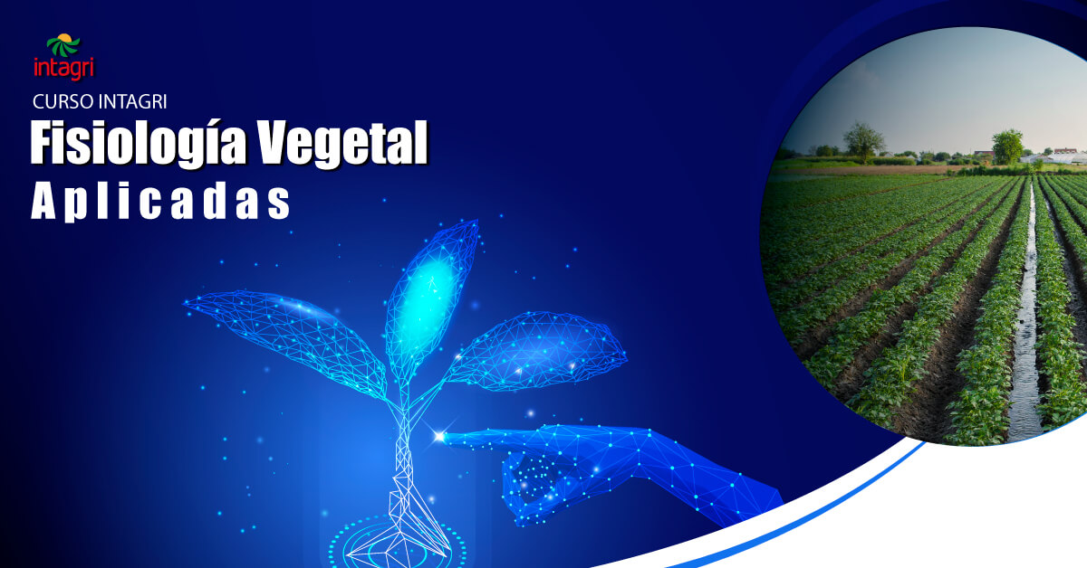 Curso Intagri de Fisiología Vegetal Aplicada - Sede | Intagri S.C.