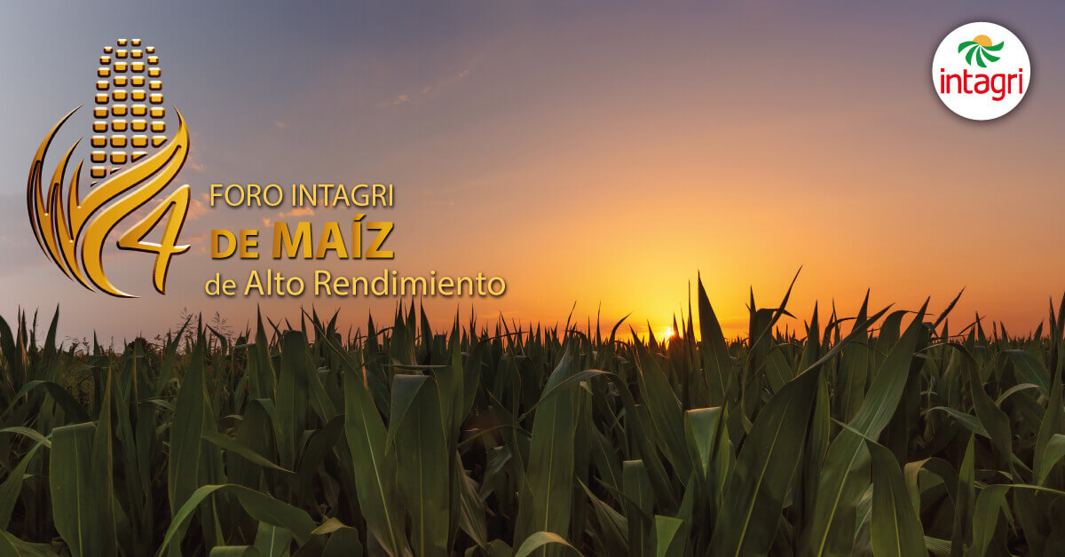4to. Foro Intagri de Maíz de Alto Rendimiento - Información | Intagri S.C.