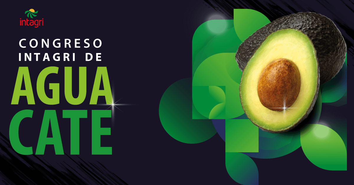 Congreso Intagri de aguacate 2023 - Información | Intagri S.C.