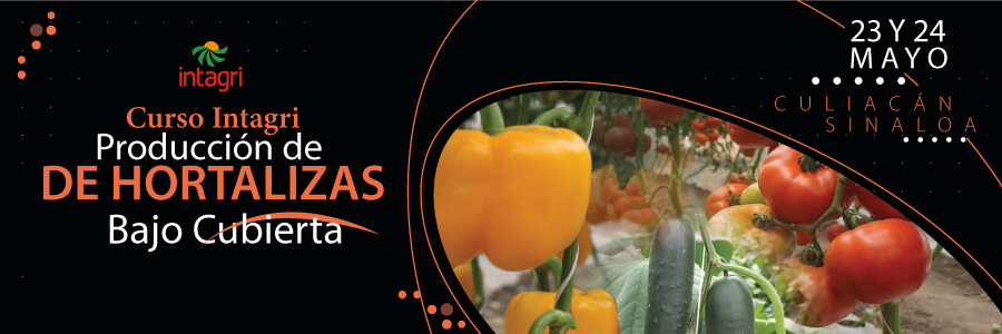 Curso Intagri de Producción de Hortalizas bajo Cubierta - Información | Intagri S.C.