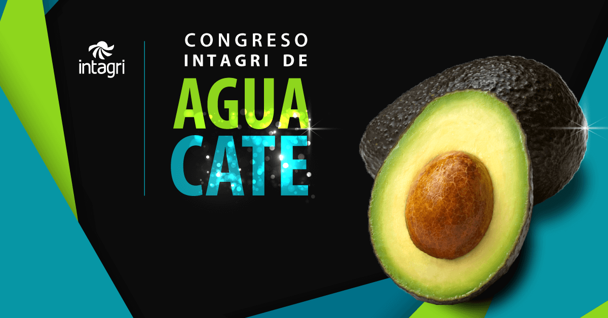 Congreso Intagri del Cultivo de Aguacate virtual 2024 - Información | Intagri S.C.