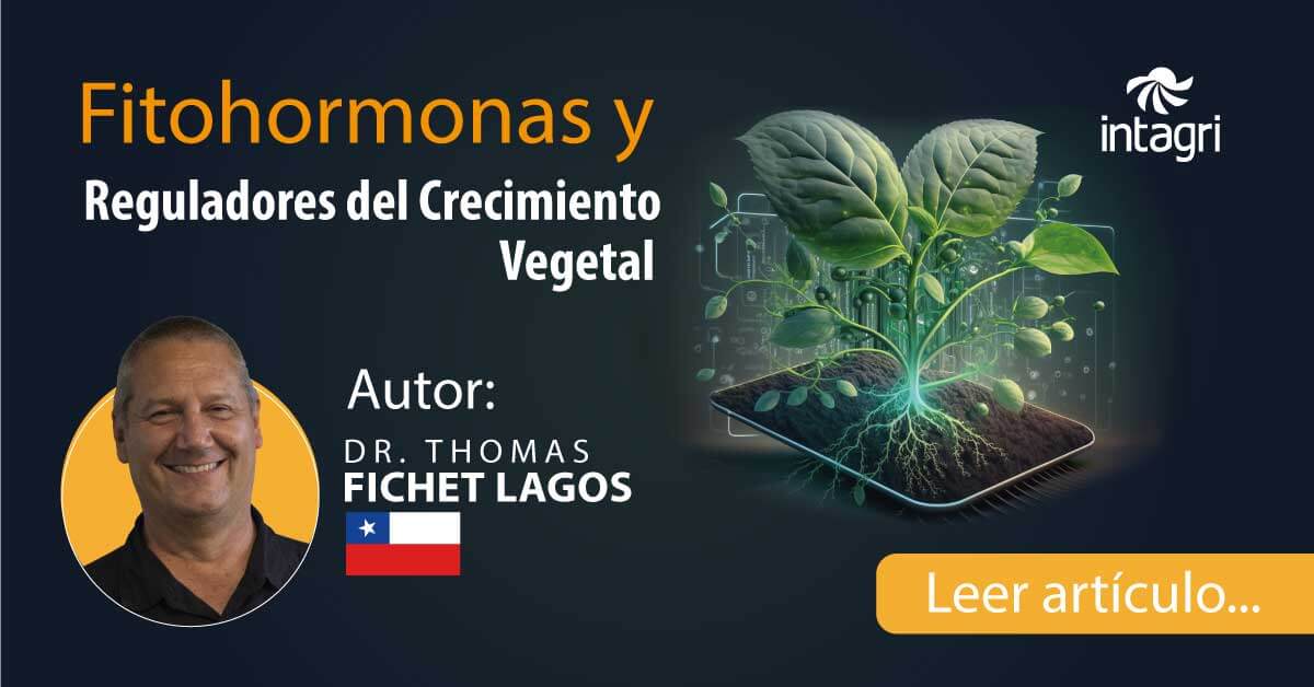 Fitohormonas y Reguladores del Crecimiento Vegetal | Intagri S.C.
