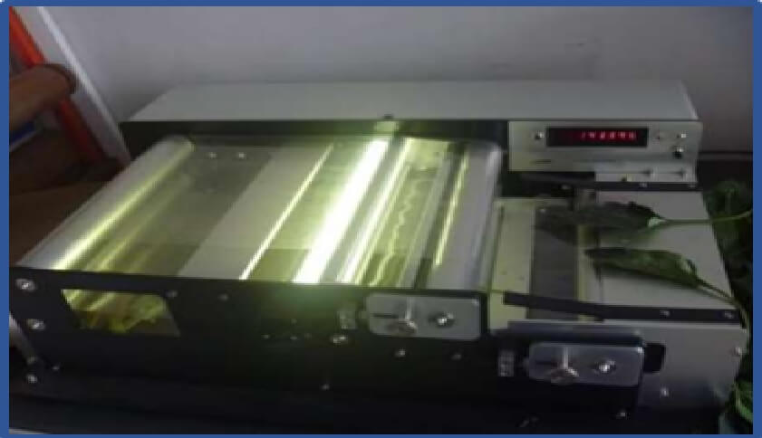 El Índice de Área Foliar (IAF) y su Relación con el Rendimiento del ...