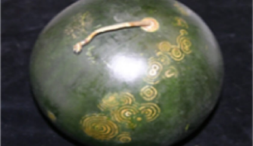 La Sintomatología de las Virosis | Intagri S.C.