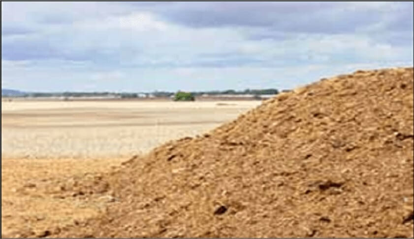 La Gallinaza Como Fertilizante | Intagri S.C.