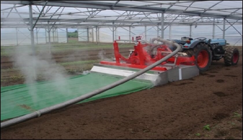 Manejo Preventivo de Nemátodos en Cultivos Protegidos | Intagri S.C.