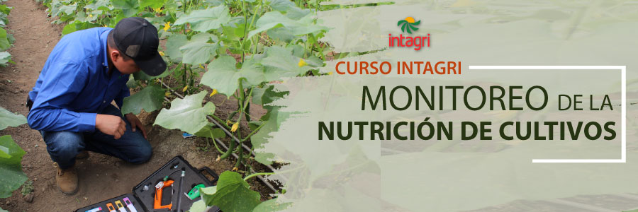 Curso INTAGRI Online de Monitoreo de la Nutrición de Cultivos - Información | Intagri S.C.