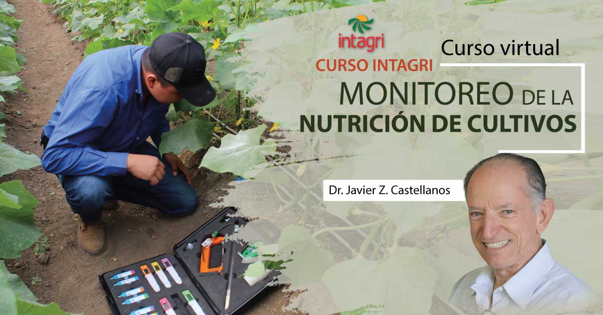 Curso INTAGRI Online de Monitoreo de la Nutrición de Cultivos - Información | Intagri S.C.