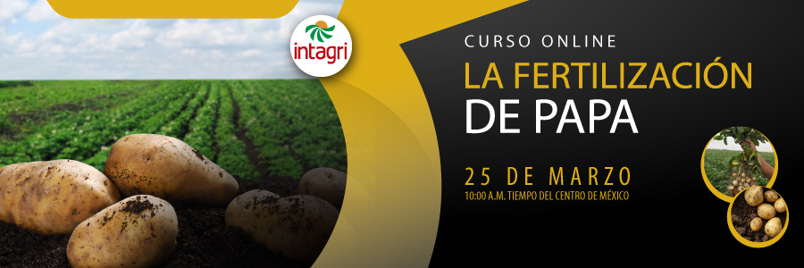 Curso Online: La Fertilización de Papa - Información | Intagri S.C.