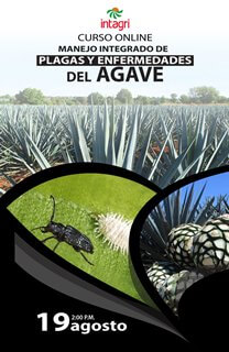 Curso Online: Manejo Integrado de Plagas y Enfermedades del Agave ...