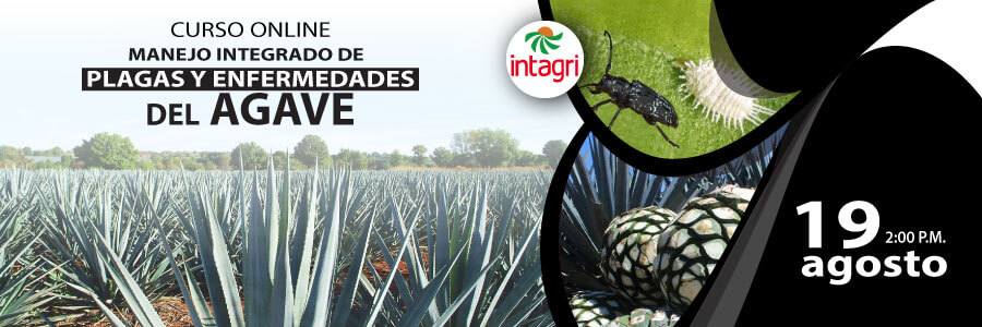 Curso Online: Manejo Integrado de Plagas y Enfermedades del Agave ...