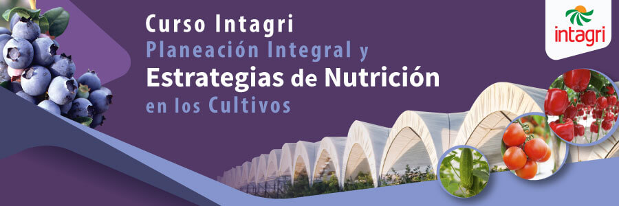 Curso Virtual Planeación integral y estrategias de nutrición en los cultivos - Información ...