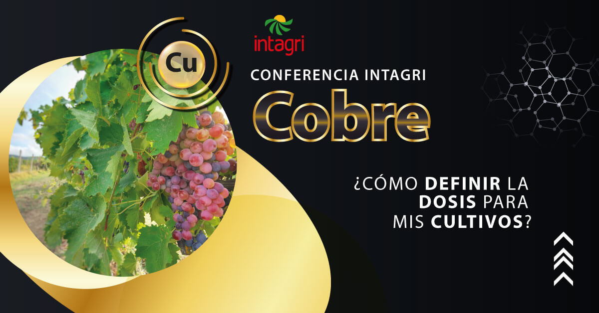 Cursos Virtual Intagri El Cobre como Micronutriente Esencial - Información | Intagri S.C.