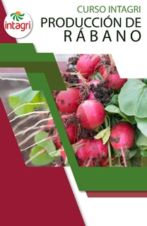 Curso Virtual Intagri Producción de Rabano (Raphanus sativus) - Información | Intagri S.C.