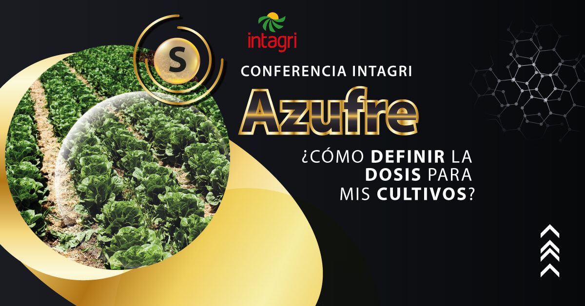 Curso Virtual Intagri El Azufre como Nutrimento en la Agricultura ... Curso Virtual Intagri El Azufre como Nutrimento en la Agricultura ...