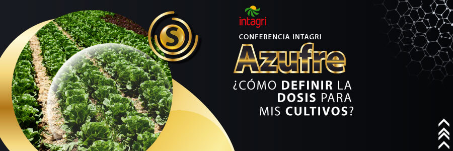 Curso Virtual Intagri El Azufre como Nutrimento en la Agricultura ... Curso Virtual Intagri El Azufre como Nutrimento en la Agricultura ...