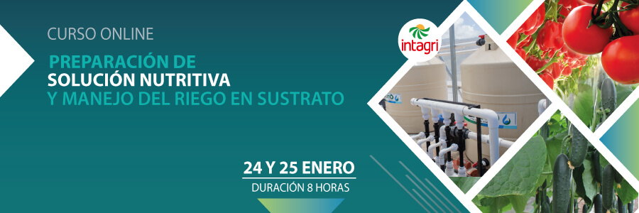 Curso de Manejo del Riego en Sustrato y la Preparación de la solución Nutritiva - Información ...