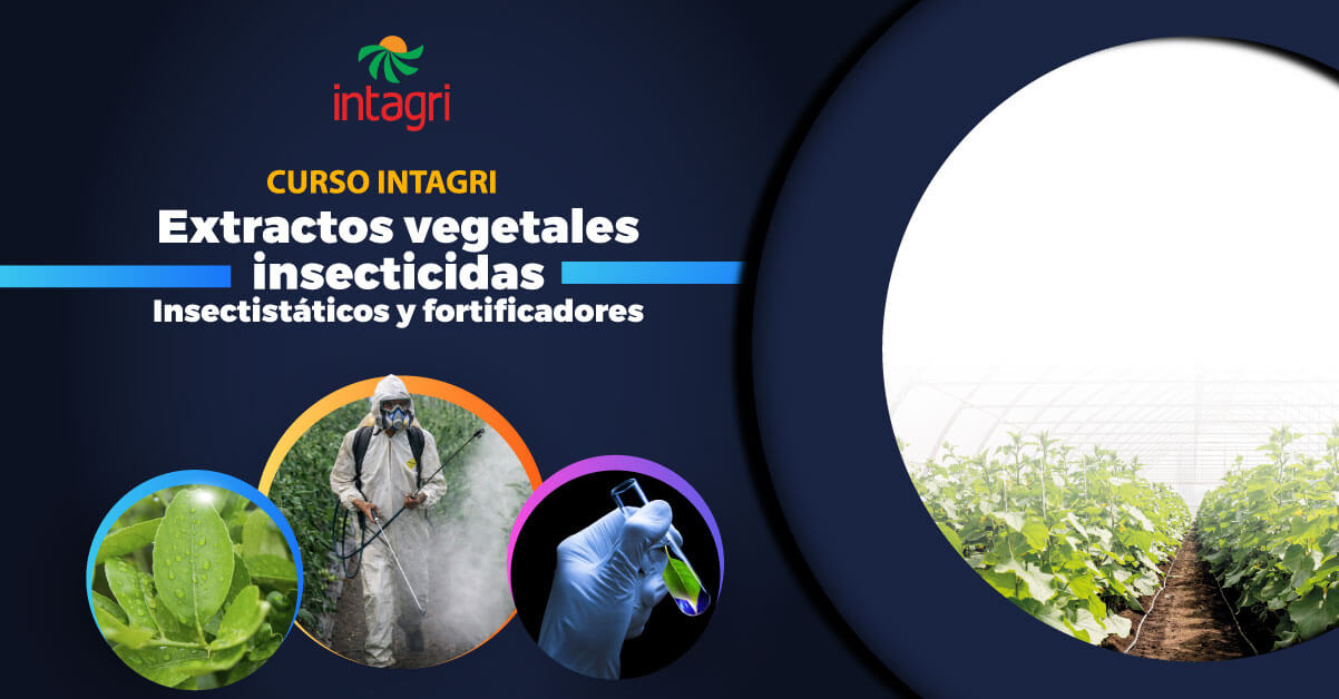 Curso Online Intagri Extractos Vegetales Insecticidas, Insectistáticos ...