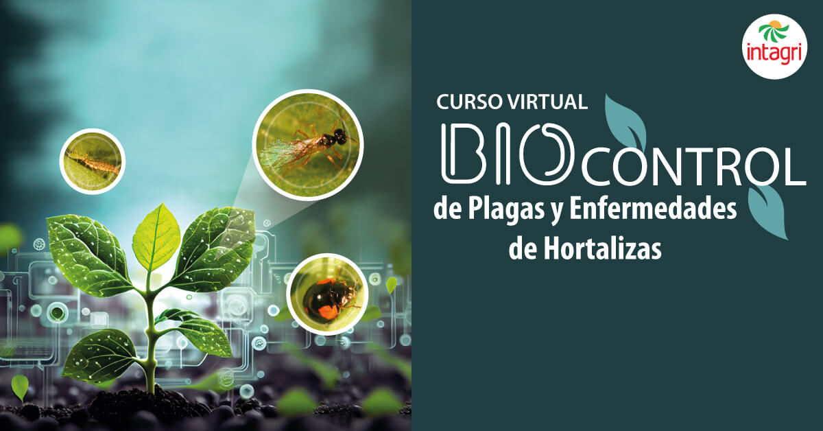 Curso Técnico-Intensivo sobre Biocontrol de Plagas y Enfermedades de ...