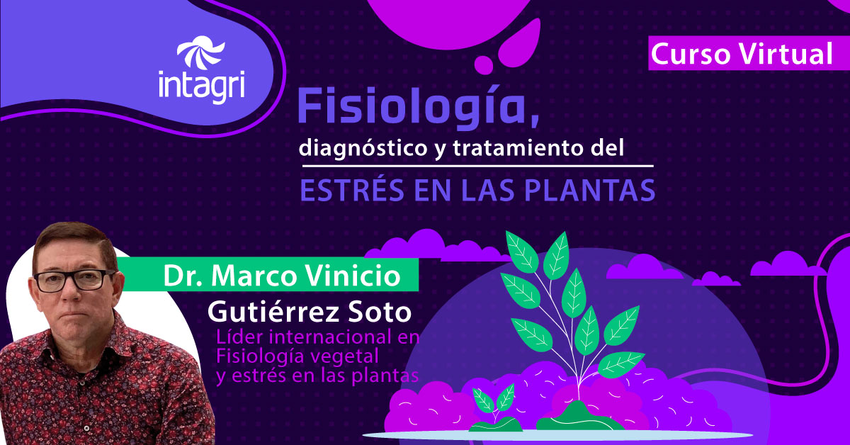 Curso Virtual Fisiología, diagnóstico y tratamiento del estrés en las ...