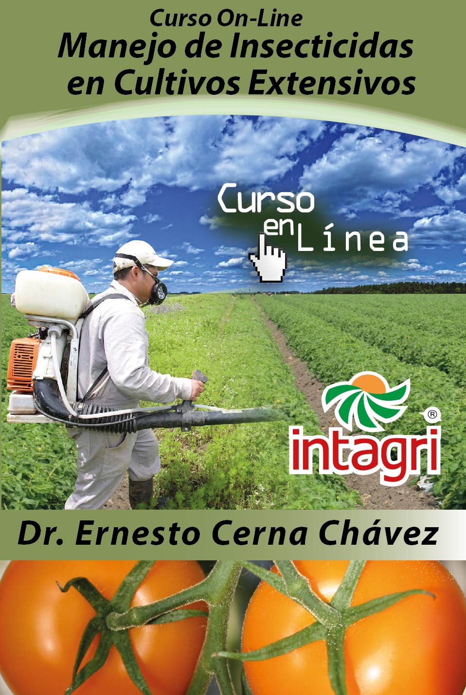 Curso virtual: Manejo de Insecticidas en Cultivos Extensivos - Inicio ...
