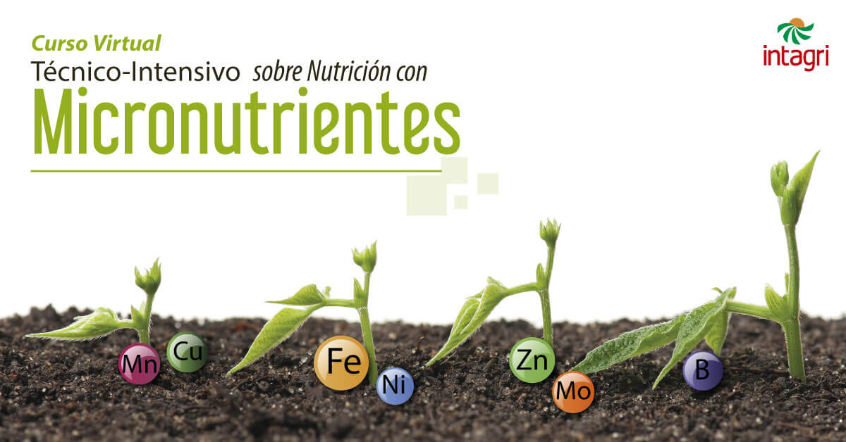 Seminario virtual: Micronutrientes para las plantas - Inicio | Intagri S.C.