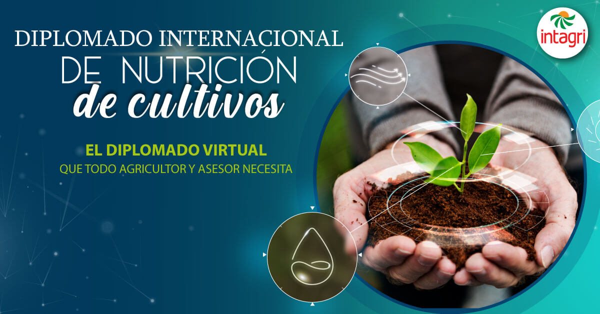Diplomado Internacional sobre Nutrición de Cultivos - Información ...