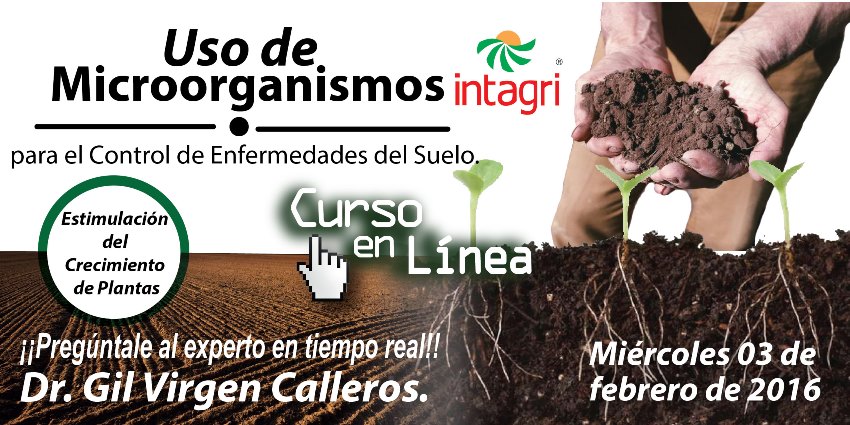 Trichoderma Control de Hongos Fitopatógenos | Intagri S.C.