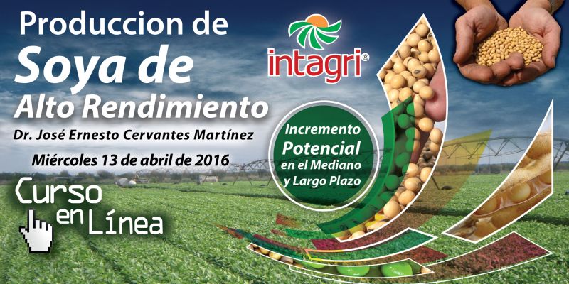 Producción de Soya de Alto Rendimiento | Intagri S.C.