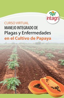 Manejo Integrado de Plagas y Enfermedades en el Cultivo de Papaya - Programa | Intagri S.C.