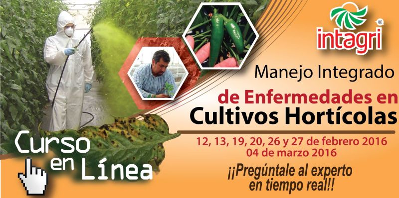 Curso virtual: Manejo Integrado de Enfermedades en Cultivos Hortícolas - Inicio | Intagri S.C.