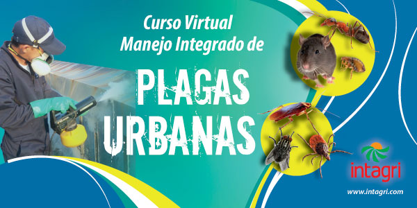 Curso virtual: Manejo Integrado de Hormigas y Manejo Integrado de Plagas en la Industria ...