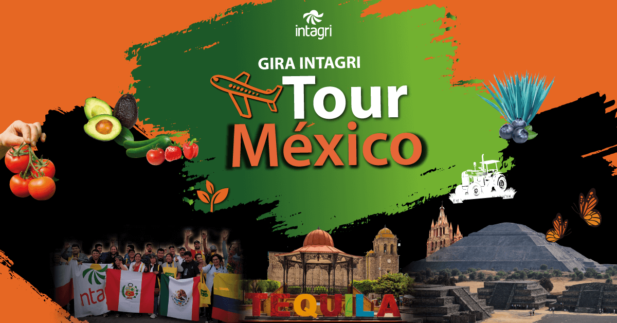 Intagri Tour Mexico: Visita la producción de cultivos como aguacate ...