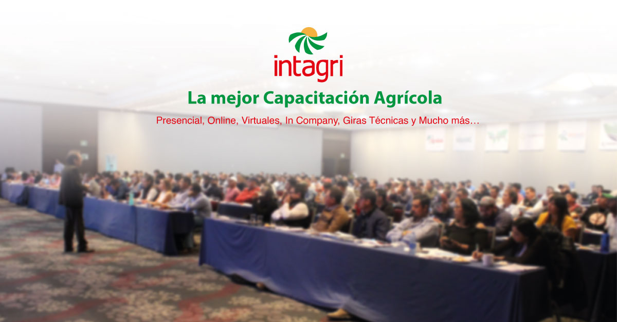 Intagri S.C. | Cursos Intagri