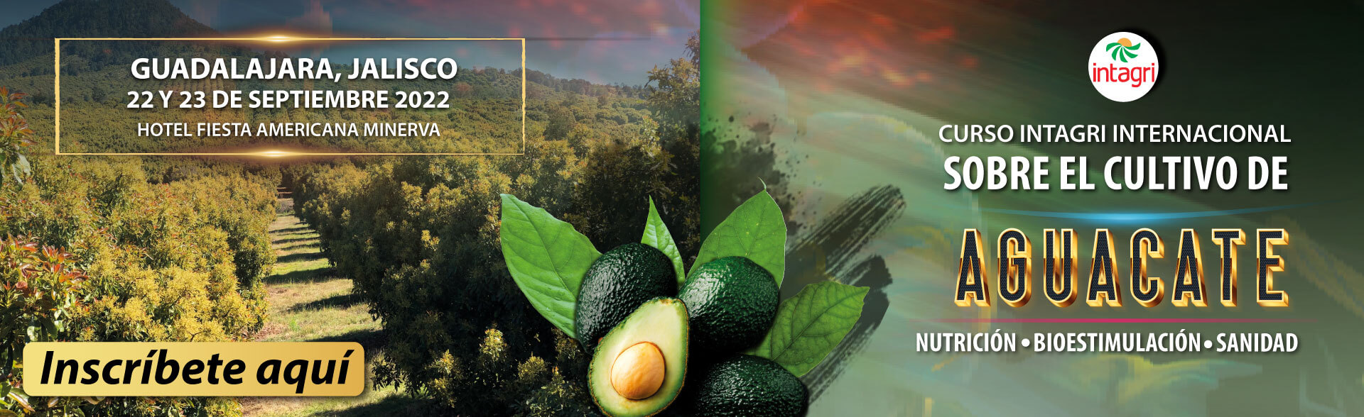 Intagri - Cursos Agrícolas - Artículos de agronomía