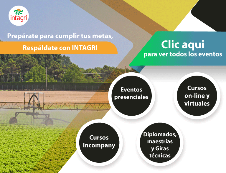 Intagri - Cursos Agrícolas - Artículos de agronomía