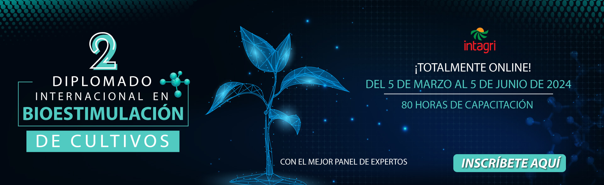 Intagri - Cursos Agrícolas - Artículos de agronomía